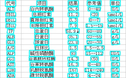 预测部署 - 基于Python脚本预测引擎推理 - 《PaddleOCR v2.0 使用教程》 - 书栈网 · BookStack