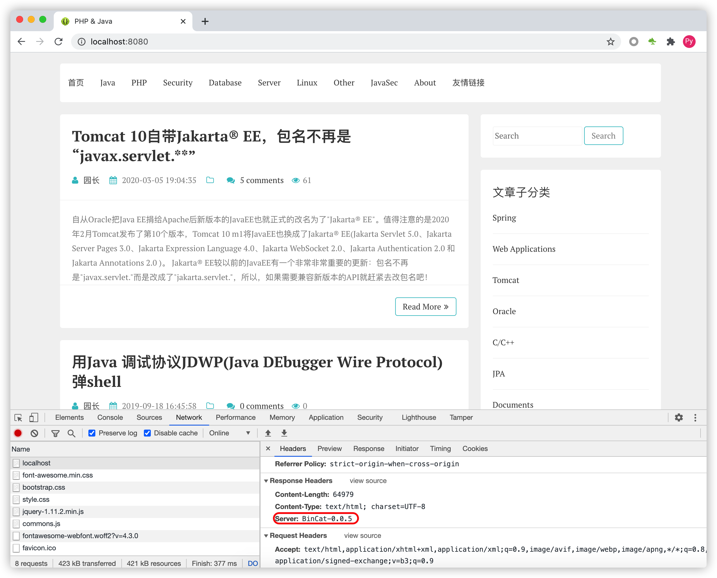 Bincat Bincat V5 支持springboot应用 《 Java Web安全 攻击java Web应用》 书栈网 · Bookstack