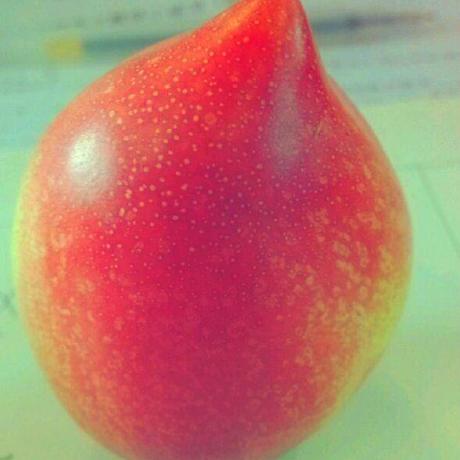 Data 数据展示 - Tree 树形控件 - 《Element Plus v2.2 教程》 - 书栈网 · BookStack