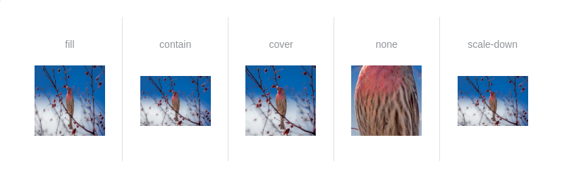 Data 数据展示 - Image 图片 - 《Element Plus v2.2 教程》 - 书栈网 · BookStack