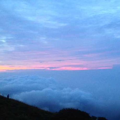 Form 表单组件 - Select 选择器 - 《Element Plus v2.2 教程》 - 书栈网 · BookStack