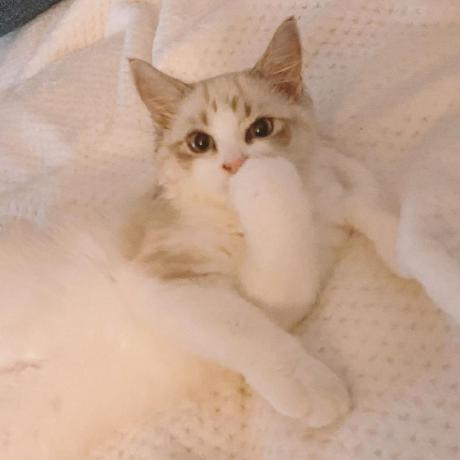 Form 表单组件 - Slider 滑块 - 《Element Plus v2.2 教程》 - 书栈网 · BookStack