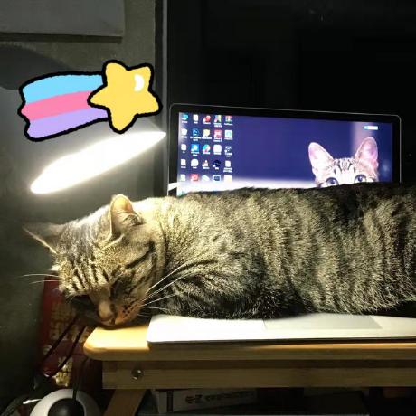 Feedback 反馈组件 - Message Box 消息弹出框 - 《Element Plus v2.2 教程》 - 书栈网 · BookStack