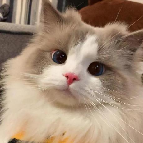 Form 表单组件 - Input Number 数字输入框 - 《Element Plus v2.2 教程》 - 书栈网 · BookStack