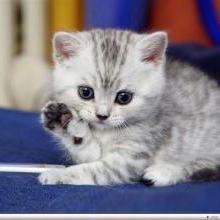 Navigation 导航 - Affix 固钉 - 《Element Plus v2.2 教程》 - 书栈网 · BookStack