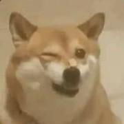 Form 表单组件 - Upload 上传 - 《Element Plus v2.2 教程》 - 书栈网 · BookStack