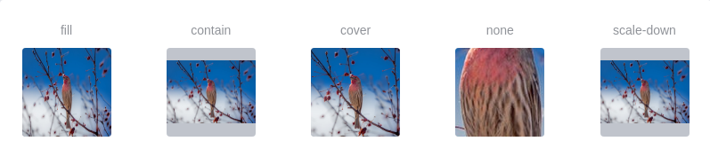 Data 数据展示 - Avatar 头像 - 《Element Plus v2.2 教程》 - 书栈网 · BookStack