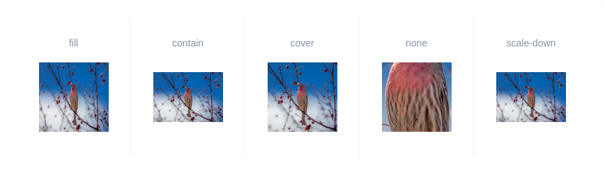 其他组件 - Image 图片 - 《ElementUI v2.15.0 使用手册》 - 书栈网 · BookStack