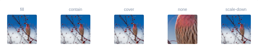 数据组件 Data Avatar 头像 《elementui V212 使用手册》 书栈网 · Bookstack