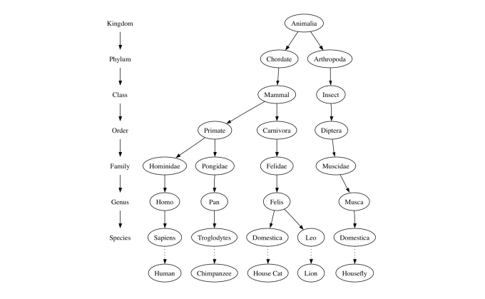 6树和树的算法 62树的例子 《python 数据结构与算法problem Solving In Data Structures And Algorithms Using