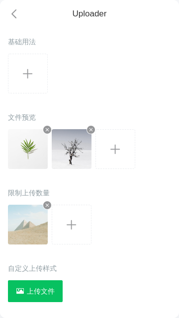 表单组件 Uploader 文件上传 《vant 24 移动端组件库文档》 书栈网 · Bookstack