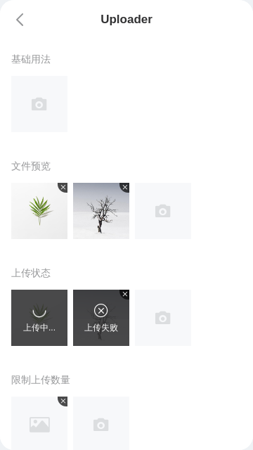 表单组件 Uploader 文件上传 《vant V40 移动端组件库文档》 书栈网 · Bookstack
