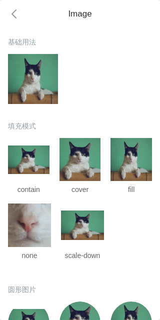 基础组件 - Image 图片 - 《Vant Weapp 1.5.0 小程序UI组件库》 - 书栈网 · BookStack