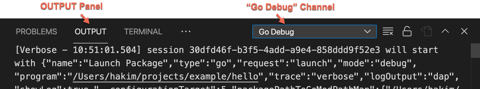 Debugging Using Delve Dap Aka Dlv Dap 《vscode Go Tutorial》 书栈网 · Bookstack